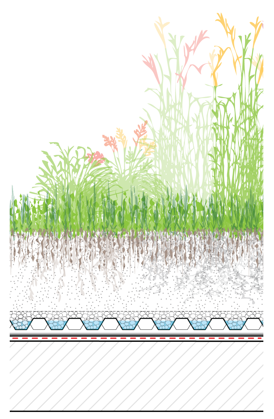 Blu Garden – Sustainablu